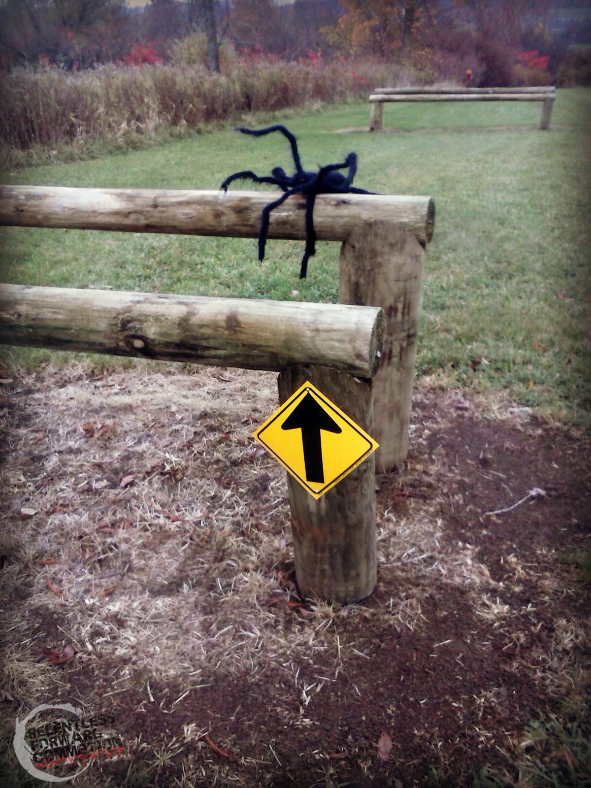 Shale Hill Adventure Farm - Review - RELENTLESS FORWARD COMMOTION