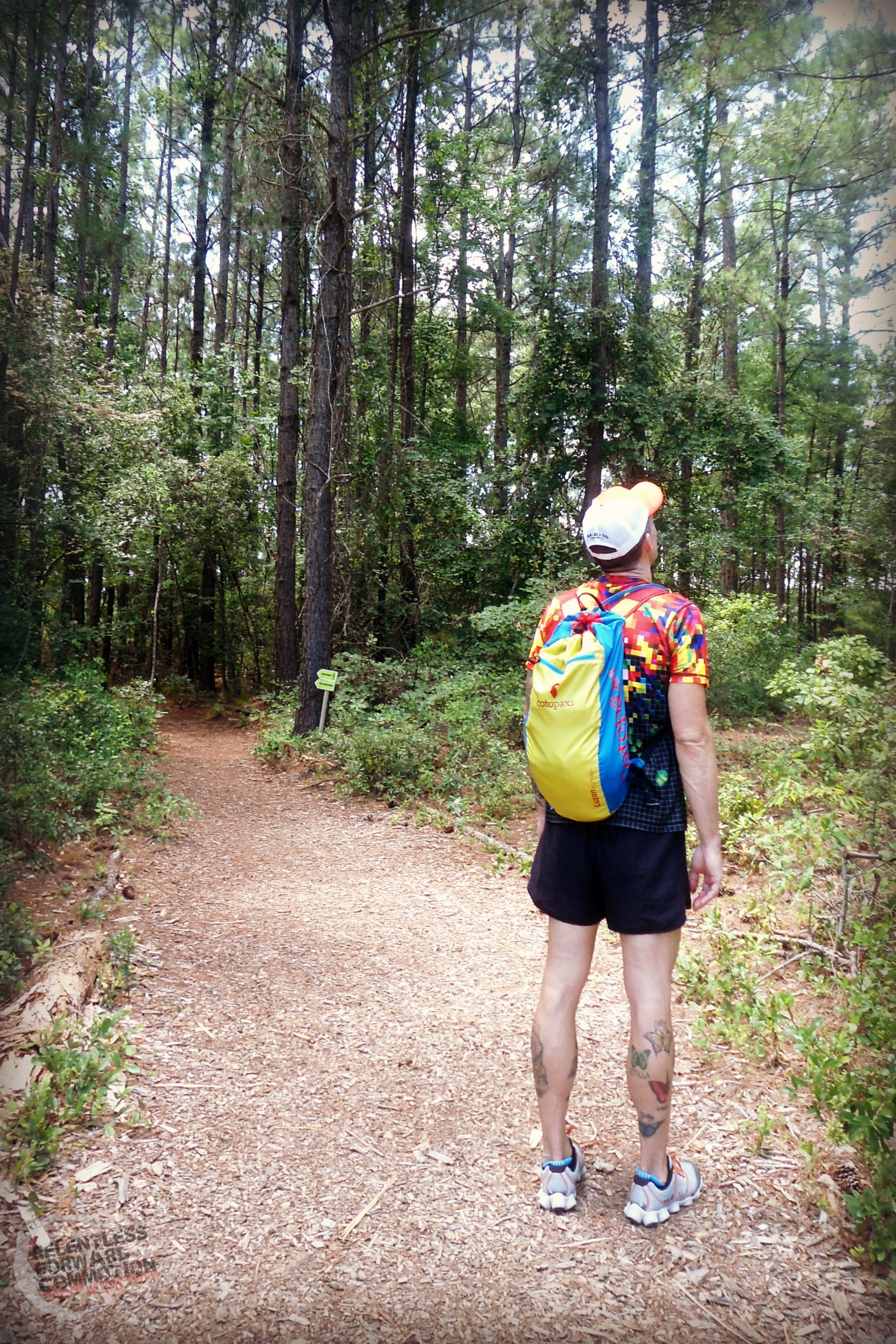 A Complete Guide to Trail Running in Myrtle Beach (and Surrounding ...