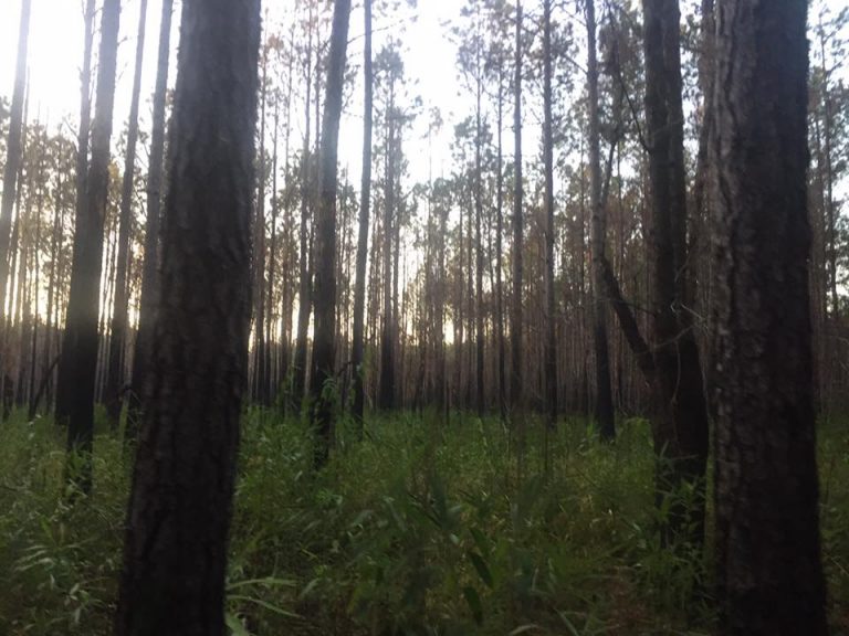 2017 Swamp Fox Ultra Recap - RELENTLESS FORWARD COMMOTION