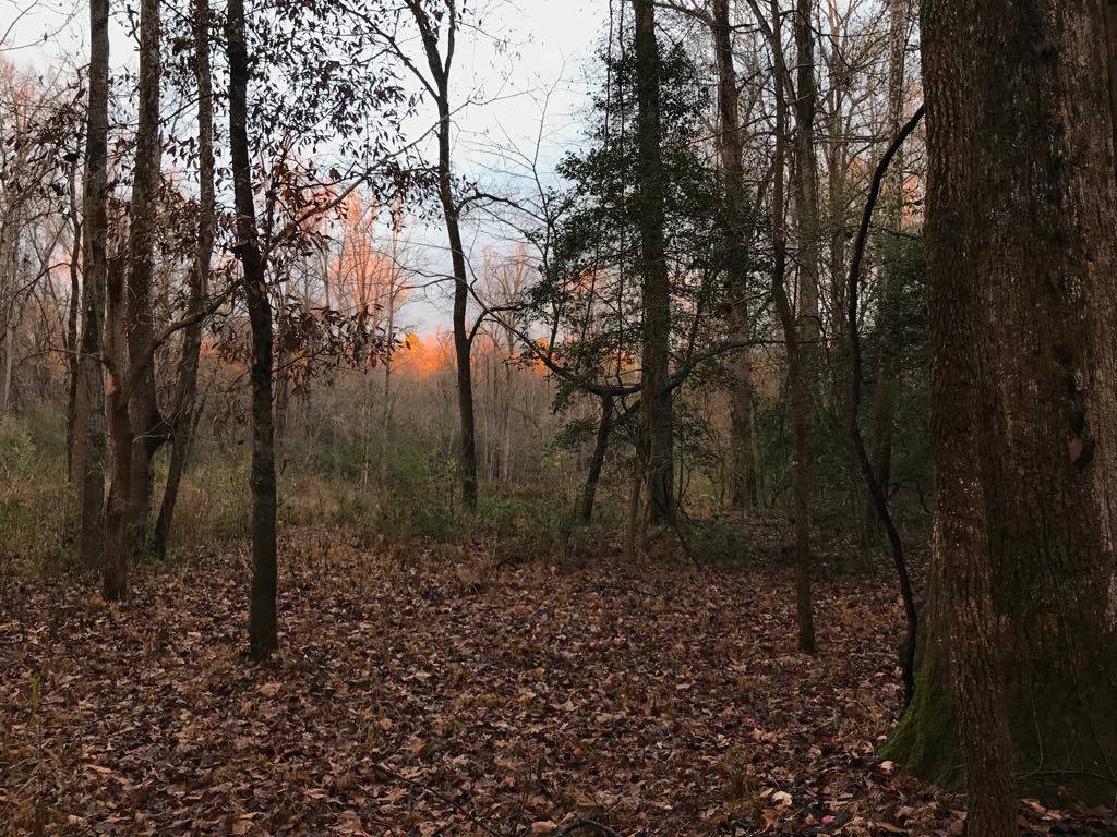 6 Safety Tips for Trail Running in the Fall - RELENTLESS FORWARD COMMOTION