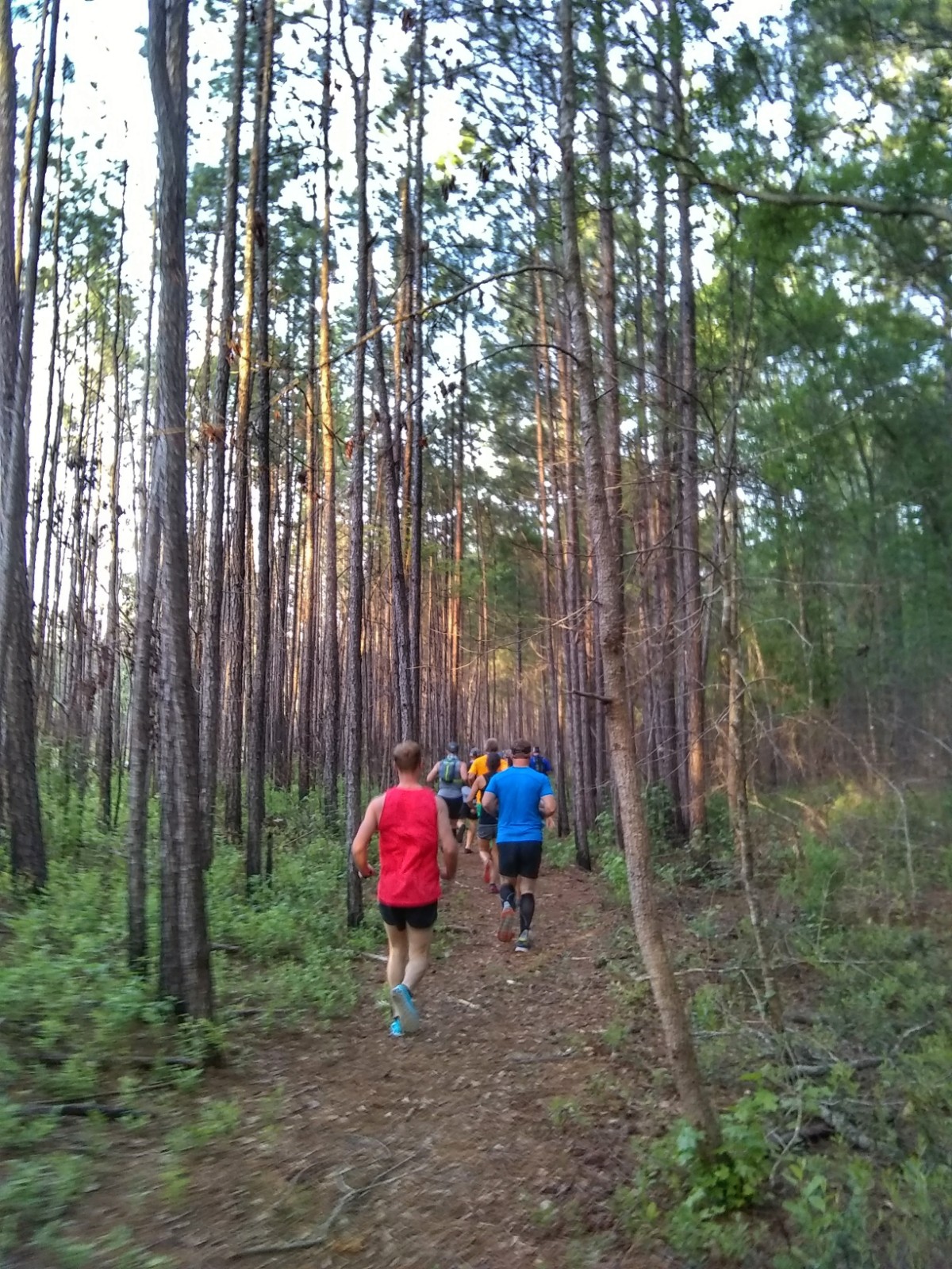 Wambaw Swamp Stomp 50 Mile - Race Report - RELENTLESS FORWARD COMMOTION