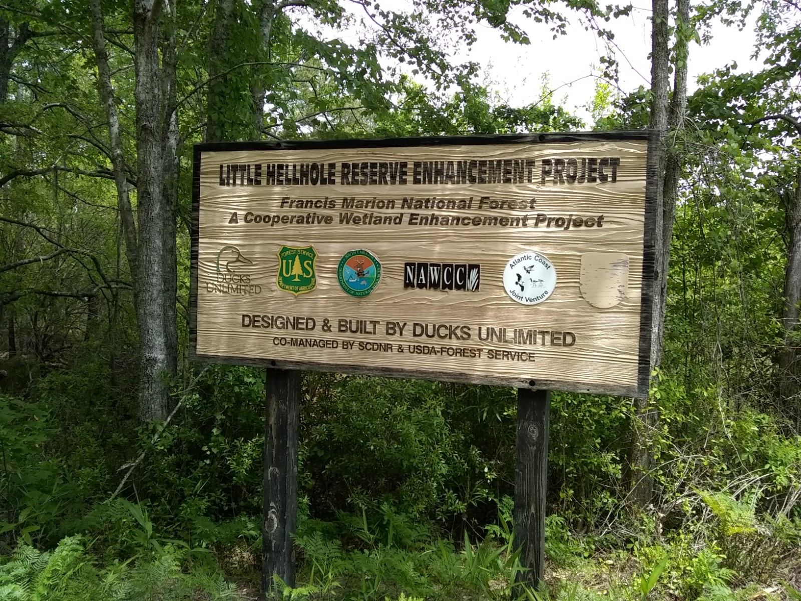 Wambaw Swamp Stomp 50 Mile - Race Report - RELENTLESS FORWARD COMMOTION