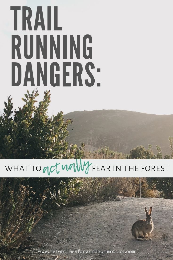 Trail Running Dangers: 8 Things I Actually Fear in the Forest ...