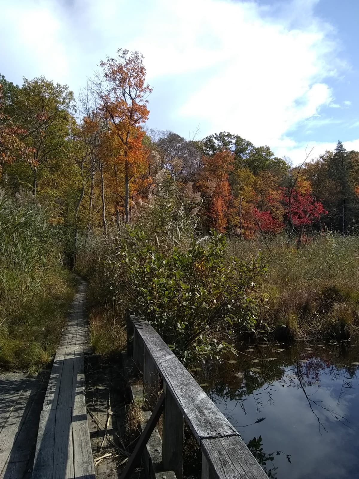 Ragnar Trail Relay Wawayanda Lake - Race Recap - RELENTLESS FORWARD ...