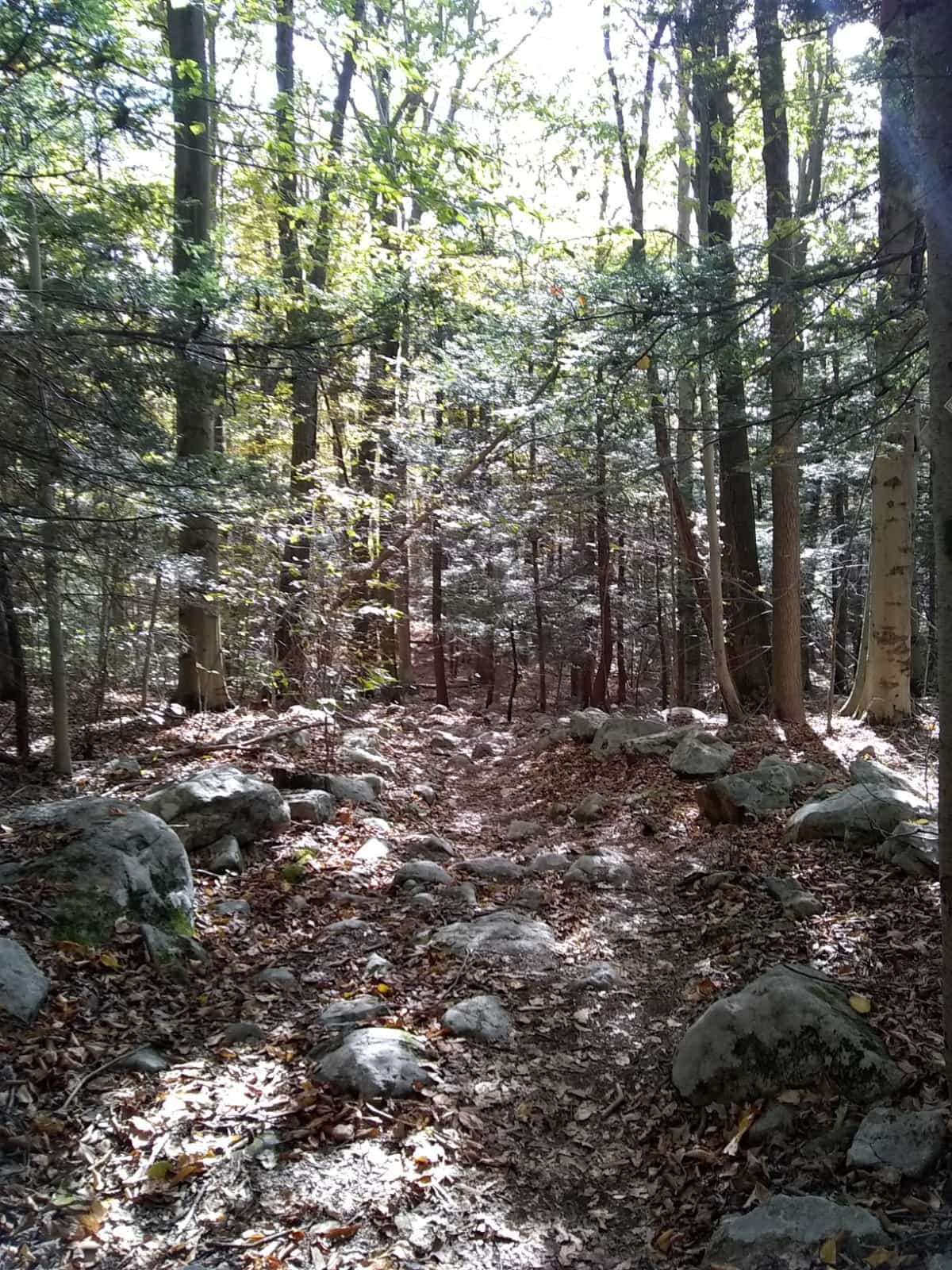 Ragnar Trail Relay Wawayanda Lake - Race Recap - RELENTLESS FORWARD ...