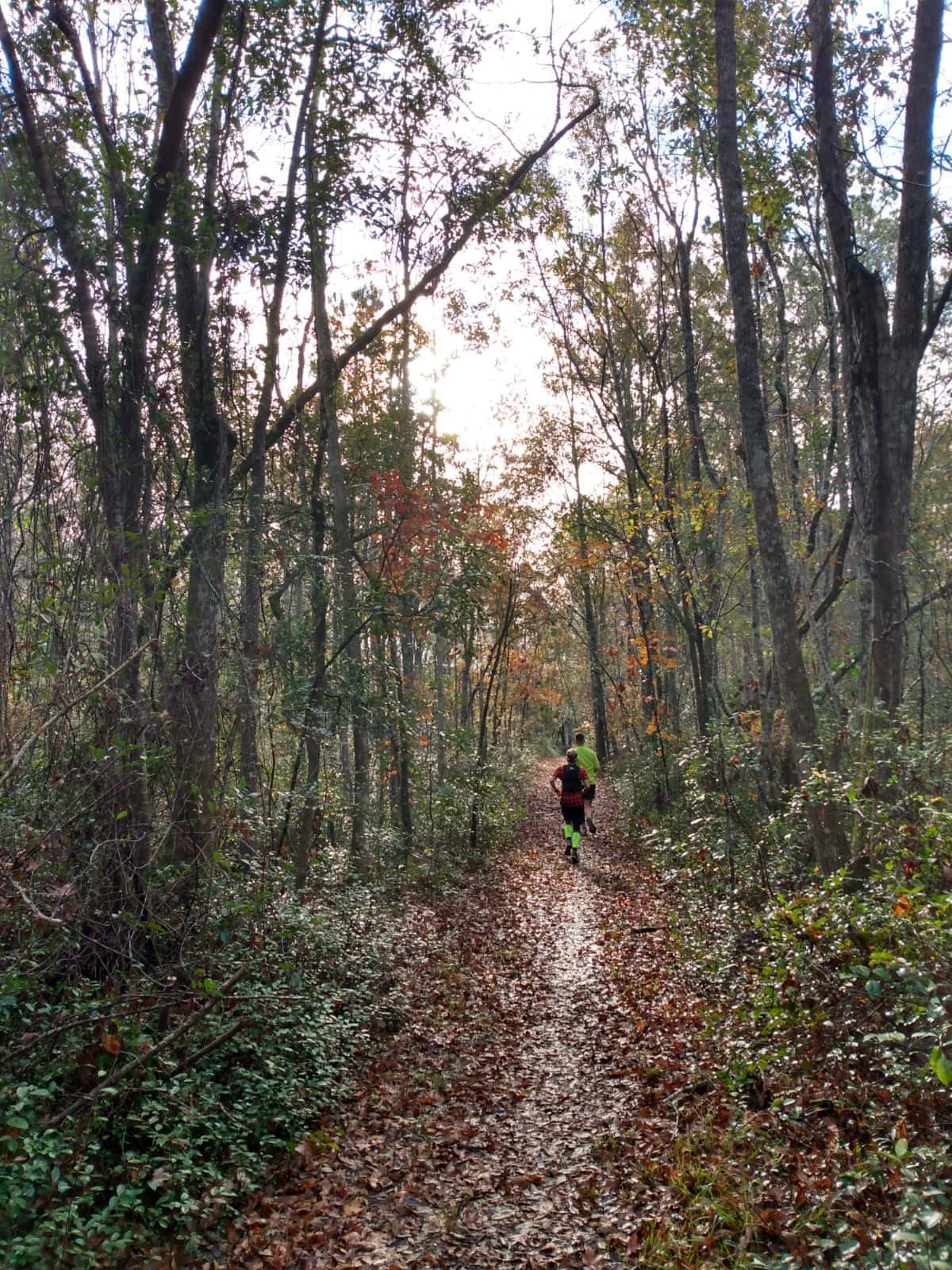 Races - RELENTLESS FORWARD COMMOTION