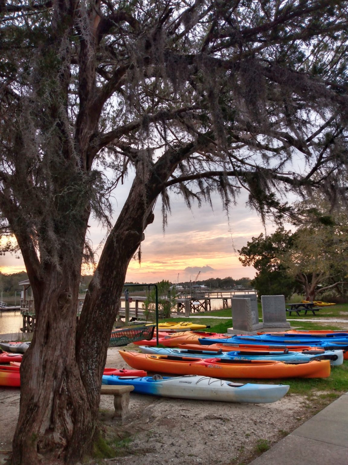 Palmetto Swamp Fox Adventure Race Recap - RELENTLESS FORWARD COMMOTION