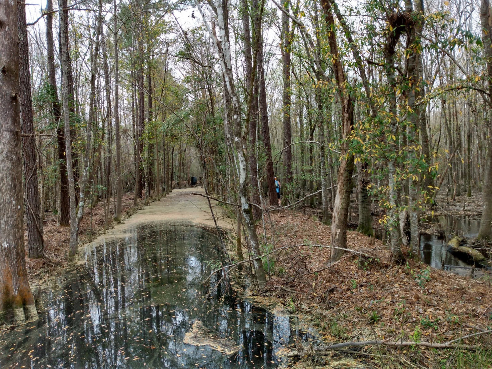 Palmetto Swamp Fox Adventure Race Recap - RELENTLESS FORWARD COMMOTION