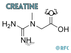 Creatine for Runners: a Guide to Creatine Supplementation for Endurance ...
