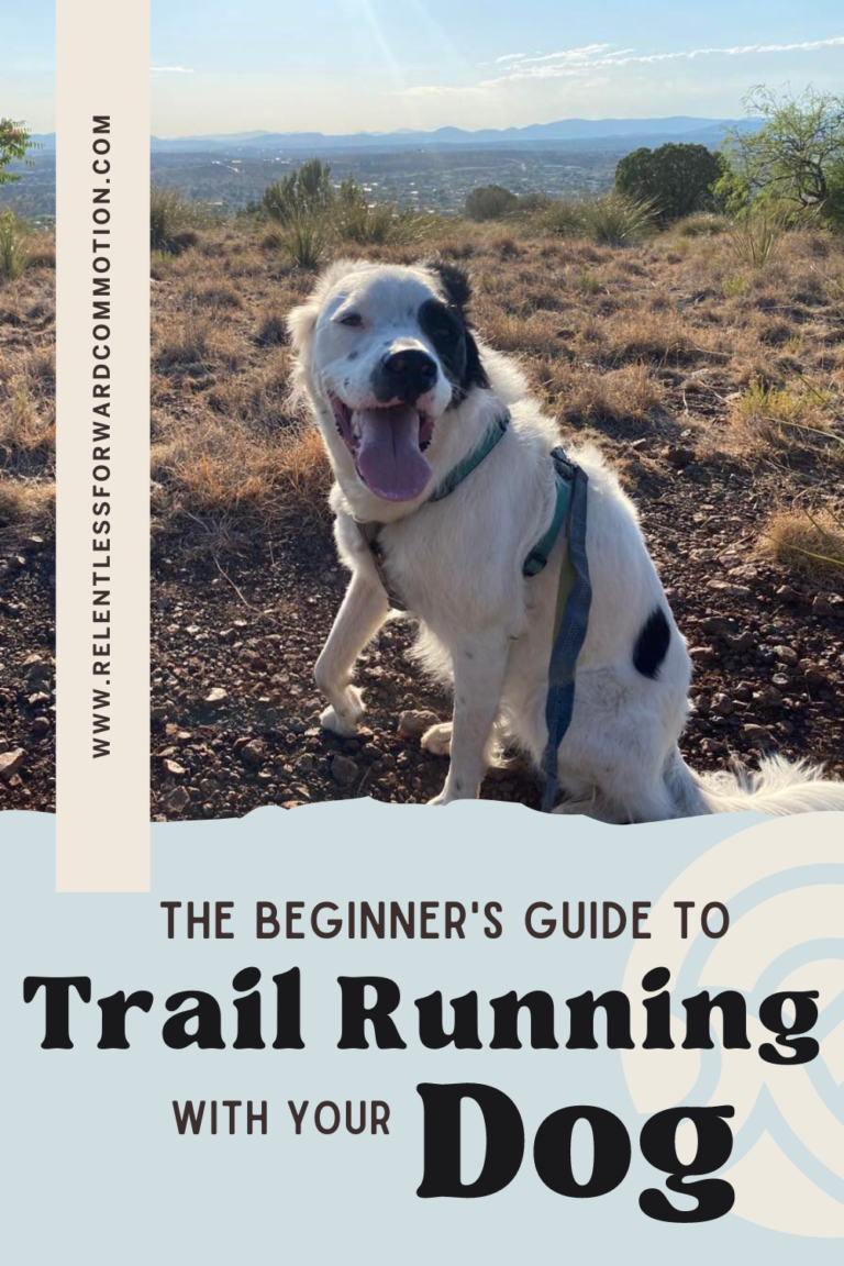 Trail Running with Dogs: A Complete Beginner's Guide - RELENTLESS ...
