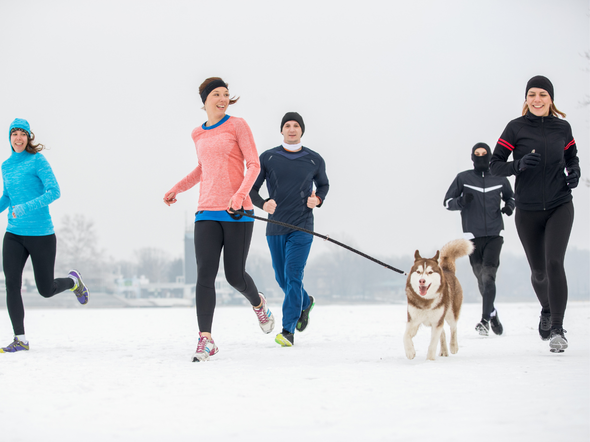 Trail Running with Dogs: A Complete Beginner's Guide - RELENTLESS ...