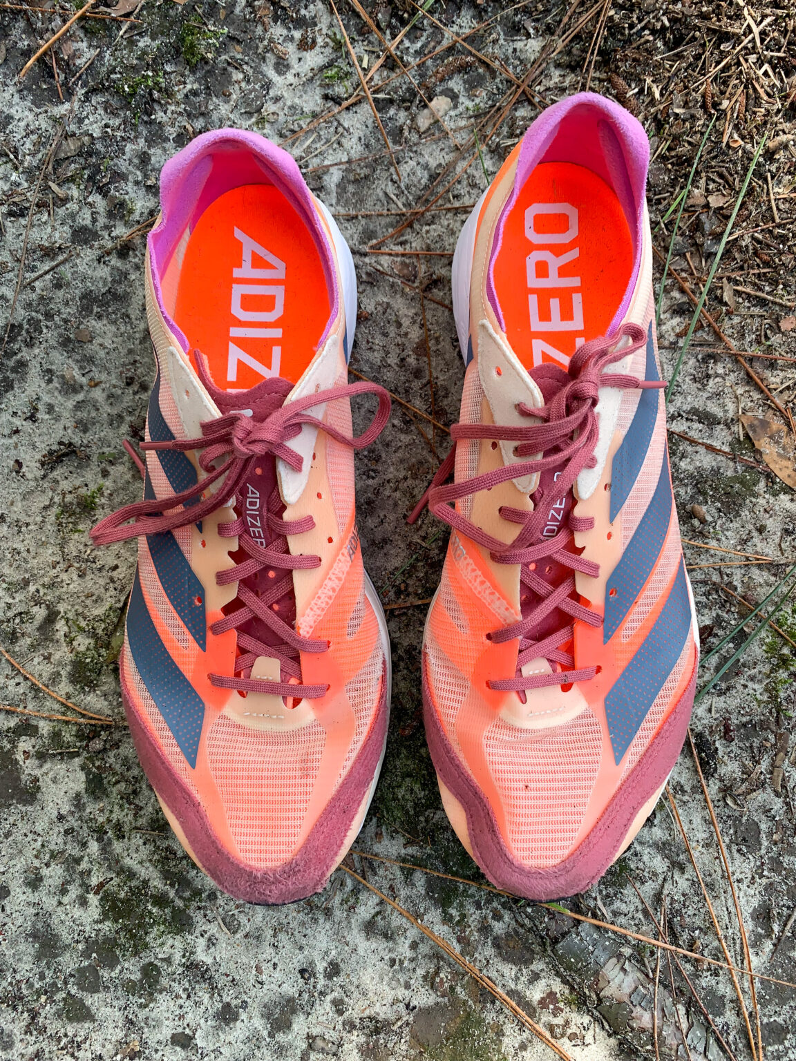 Home - RELENTLESS FORWARD COMMOTION