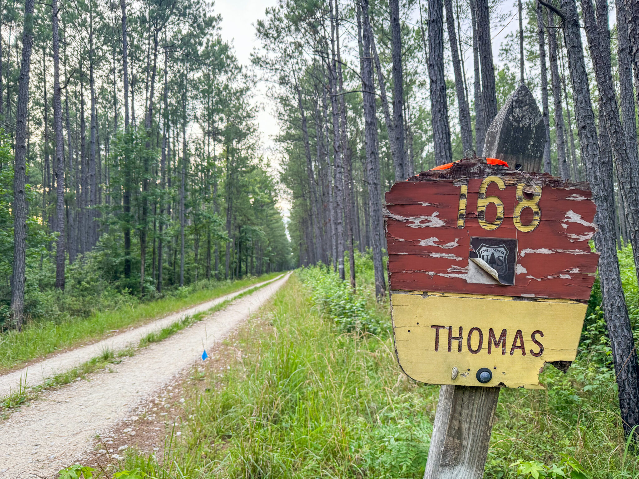 Races - RELENTLESS FORWARD COMMOTION